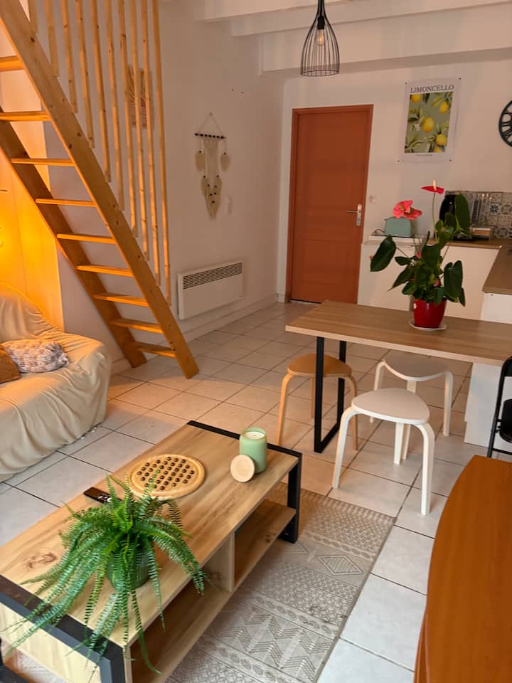 Appartement En Duplex - Hautes-Pyrénées