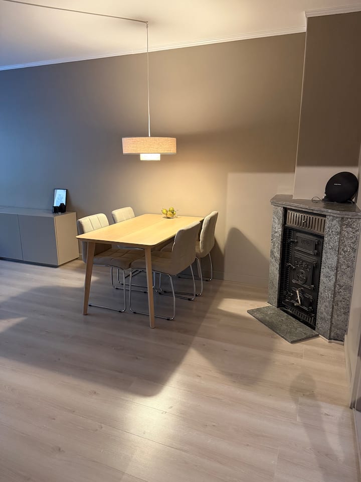 Sentral, Nyoppusset Leilighet - Oslo