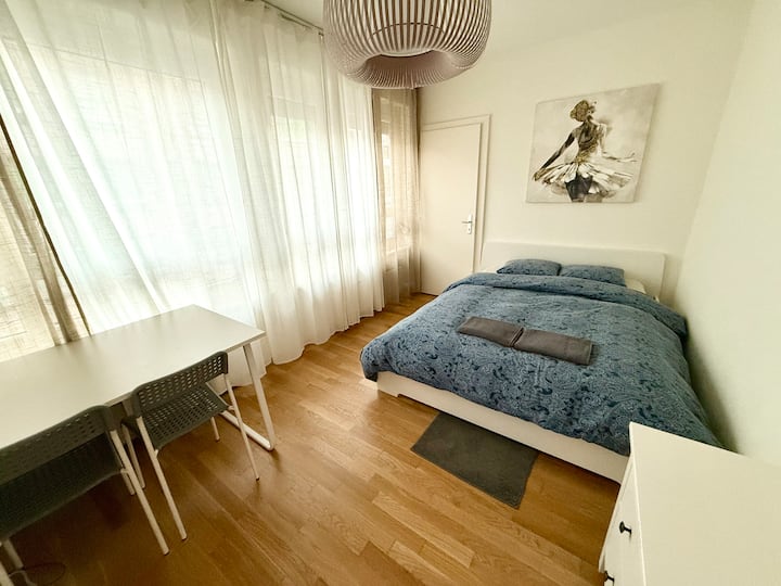 B3 Great Apart Geneva Center Close Lake Train St. - Ginebra