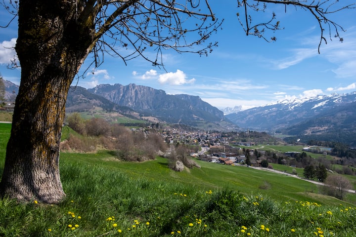 Veronza:appartement Alpin Avec Balcon Forêt, Wi Fi - Cavalese
