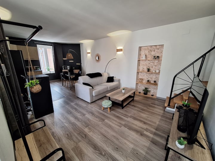 Duplex Cosy Et Agréable, Nature Et Lacs à Deux Pas - Luxeuil-les-Bains