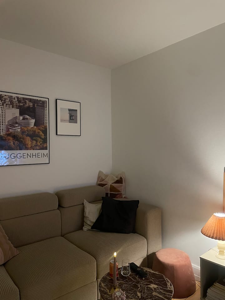 Cozy And Comfortable Stay In Copenhagen Amager - Copenaghen