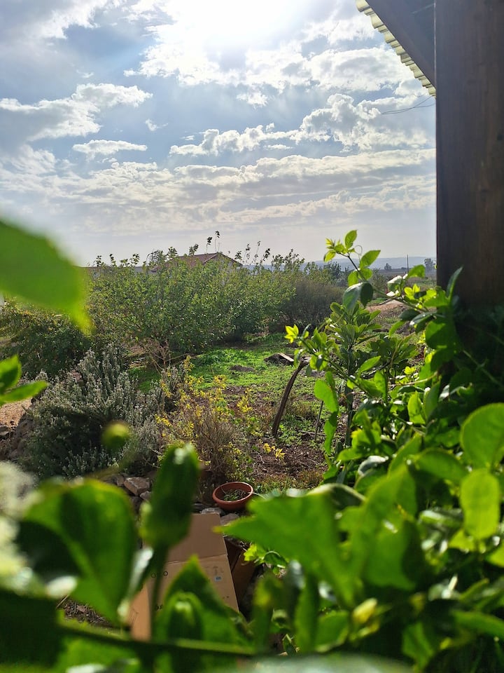 לטבול בירוק - Syrie