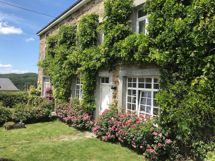 Gîte Campagne - Saint-Hubert