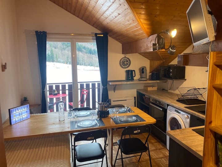 Studio Pieds Des Pistes - Bernex