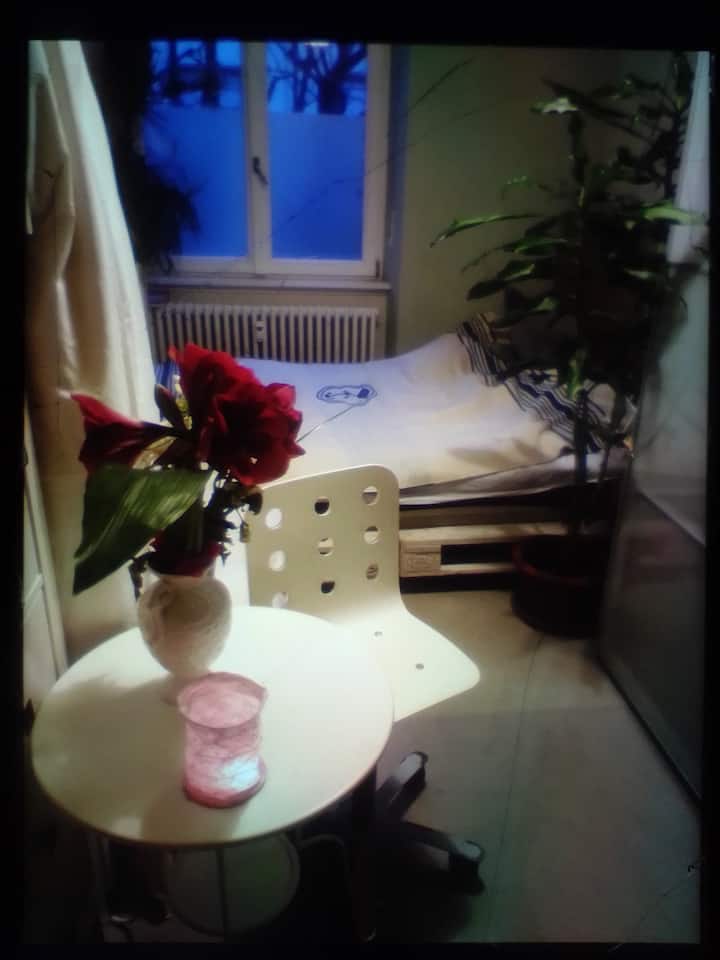 Gemütliches Zimmer In Zentraler Lage - Heidelberg