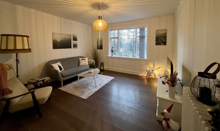 Cozy 3-bedroom Apartment Close To Hallgrímskirkja - レイキャビク