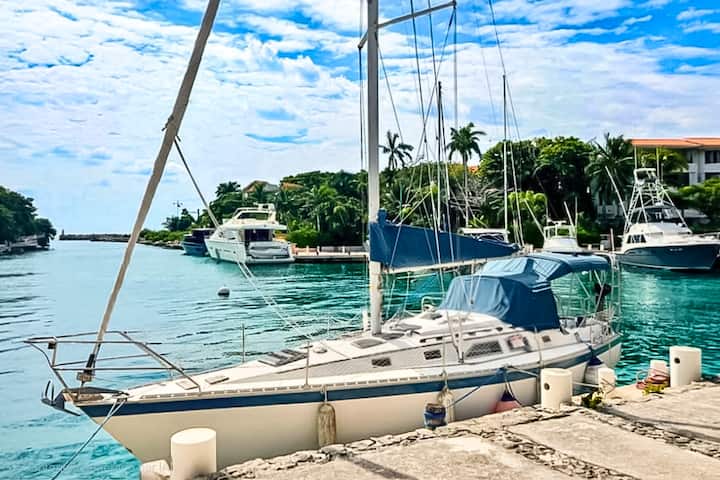 Sisu Friend - Isla Mujeres