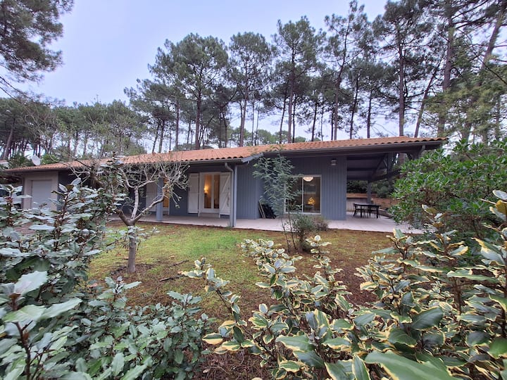 Déconnecter Près De L'océan Sous Les Pins - Lacanau Océan