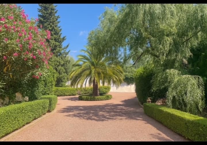 Luxueuse Maison A Mougins Avec Jardin Majestueux - Mougins