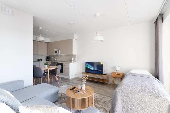 Pramea | Spacious 55m2 | Sauna | Balcony | Washer - Jyväskylä