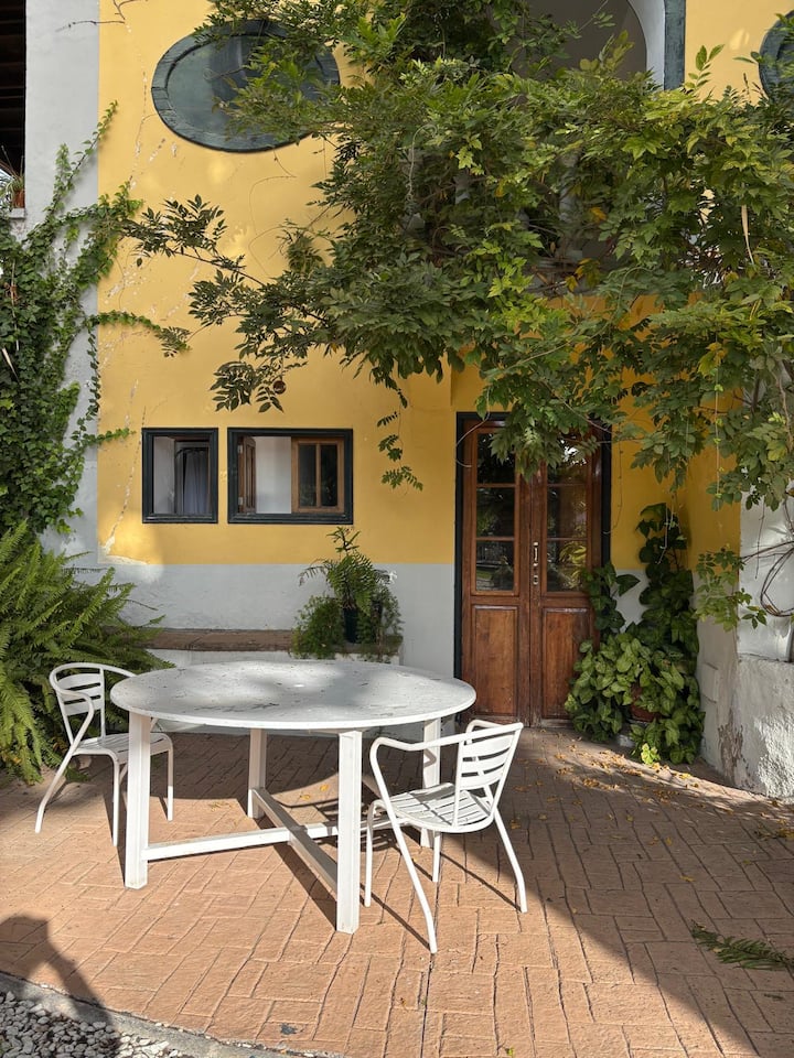 Magnolio - Candelaria