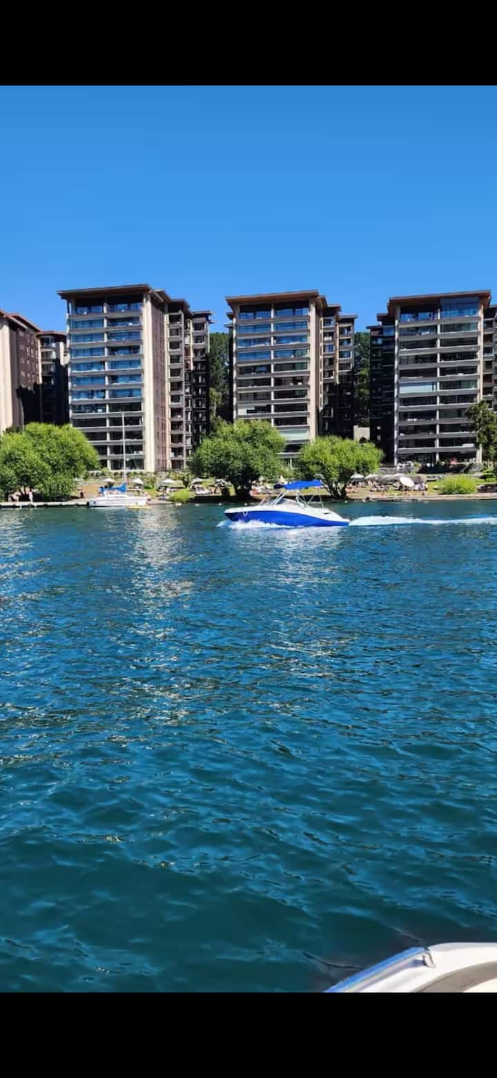 Hermoso Departamento Con Vista Al Lago - Pucon