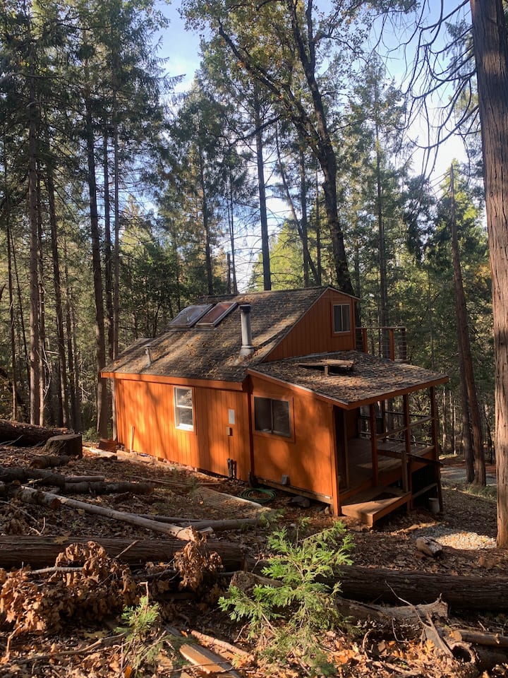 Zen Forest Cabin Retreat With Wood Sauna! - Nevada City, CA
