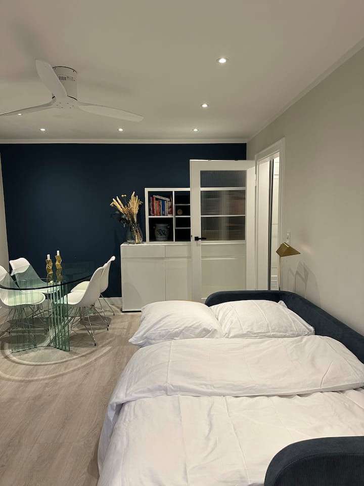 Helle, Renovierte 1-zimmer-wohnung In Schwabing - 慕尼黑