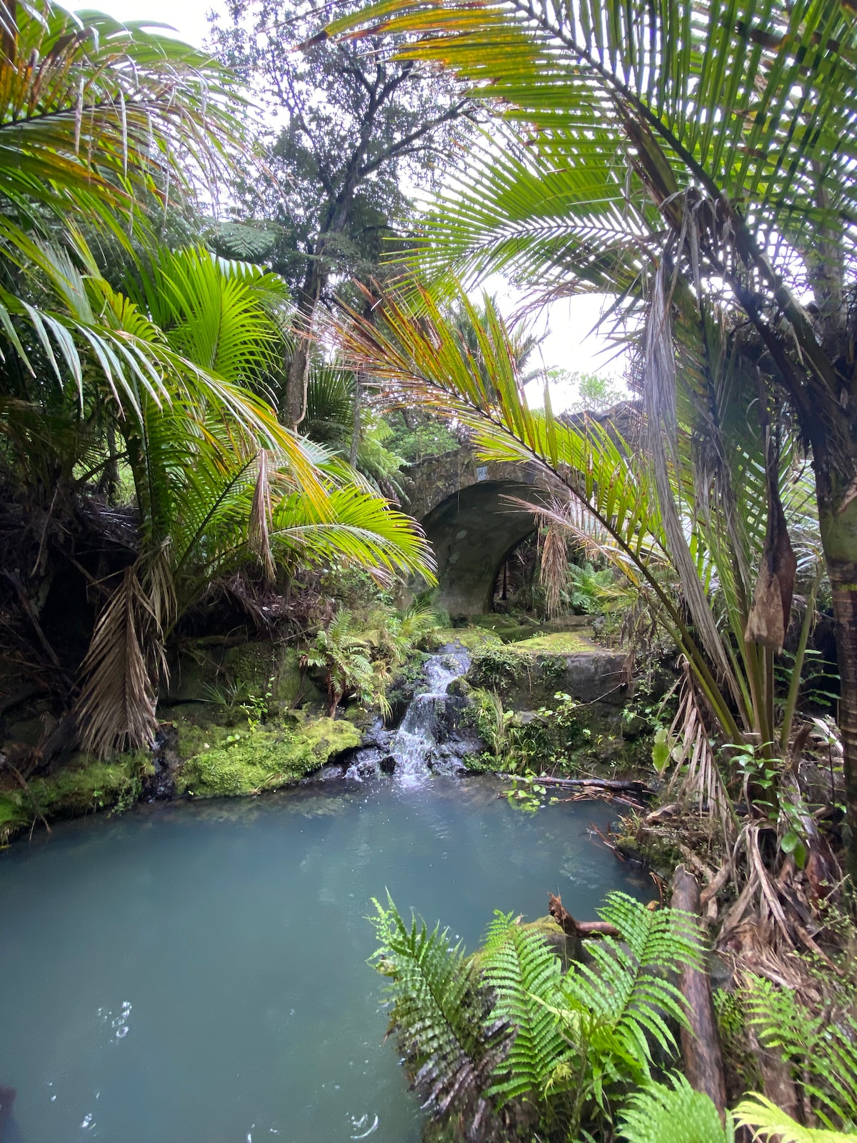 Schooner Bay Retreat: a unique Japanese style home - Houses for Rent in ...