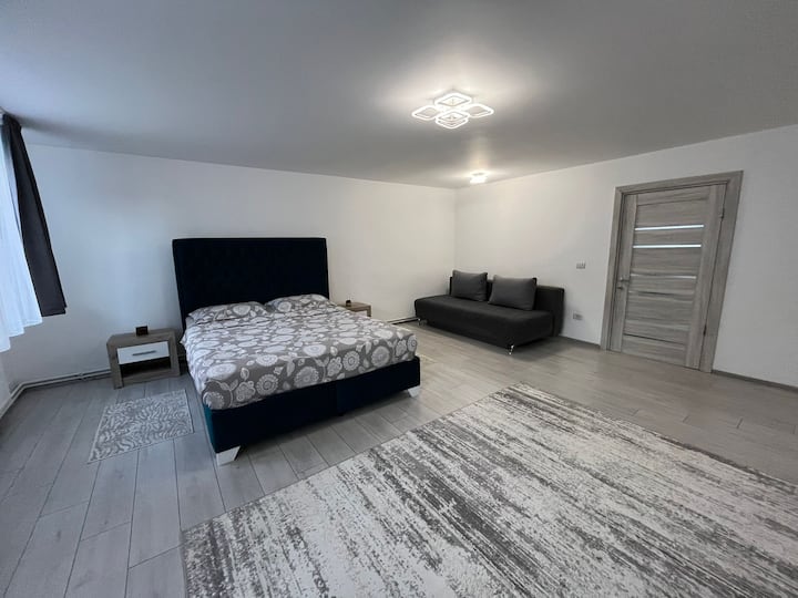 Iuvisan Apartment - Ghimbav