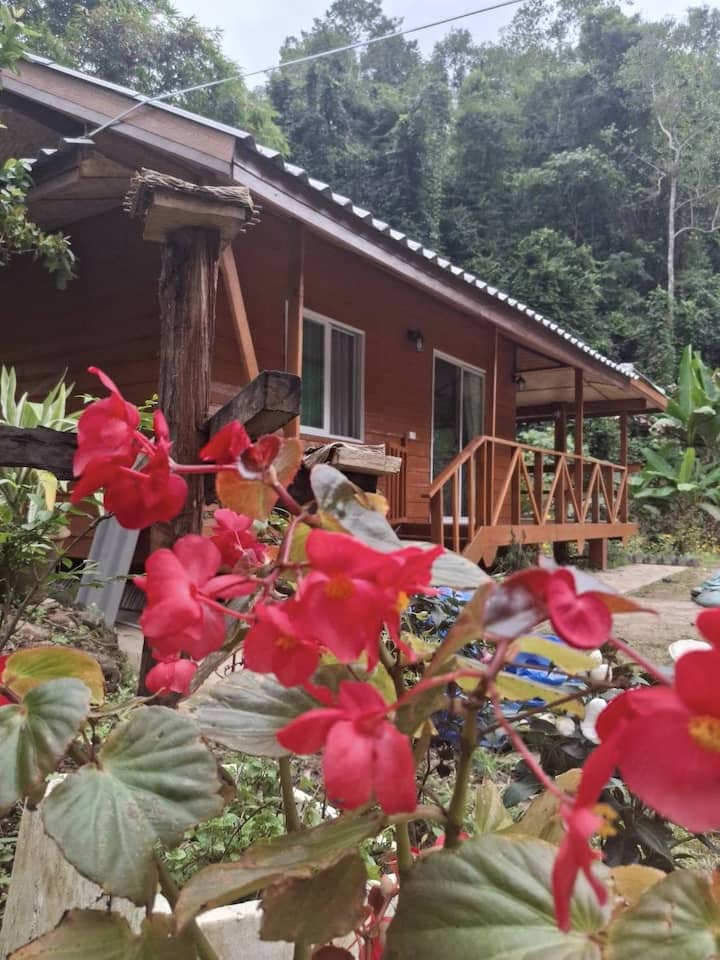 Slow Home - Chiang Mai