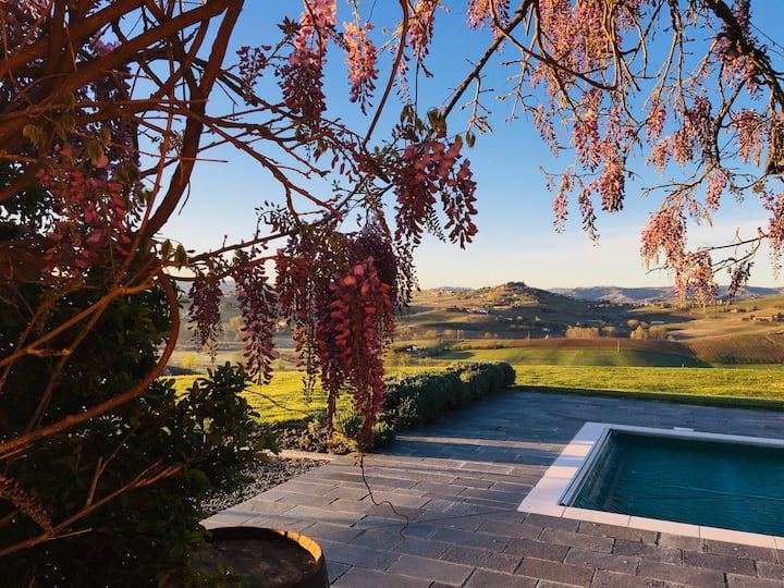 Entire Villa Surrounded By Romantic Vineyard Views - Asti
