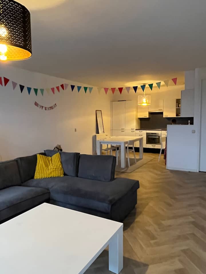 Ruim Appartement Nabij Centrum Utrecht - Culemborg