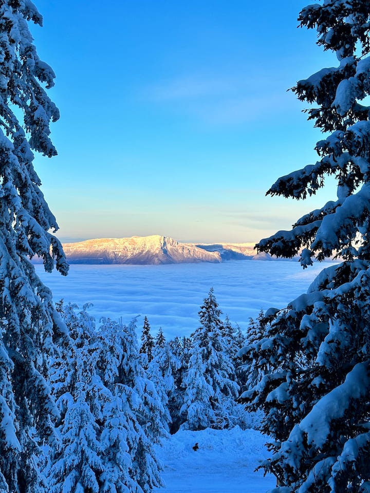 Studio 4 Couchages, Au Pied Des Pistes - Chamrousse