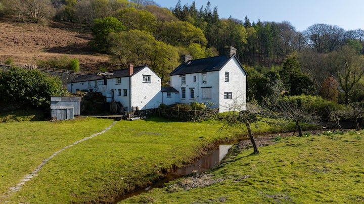 2 Bedroom Bird Watching Flat In Machynlleth - Machynlleth