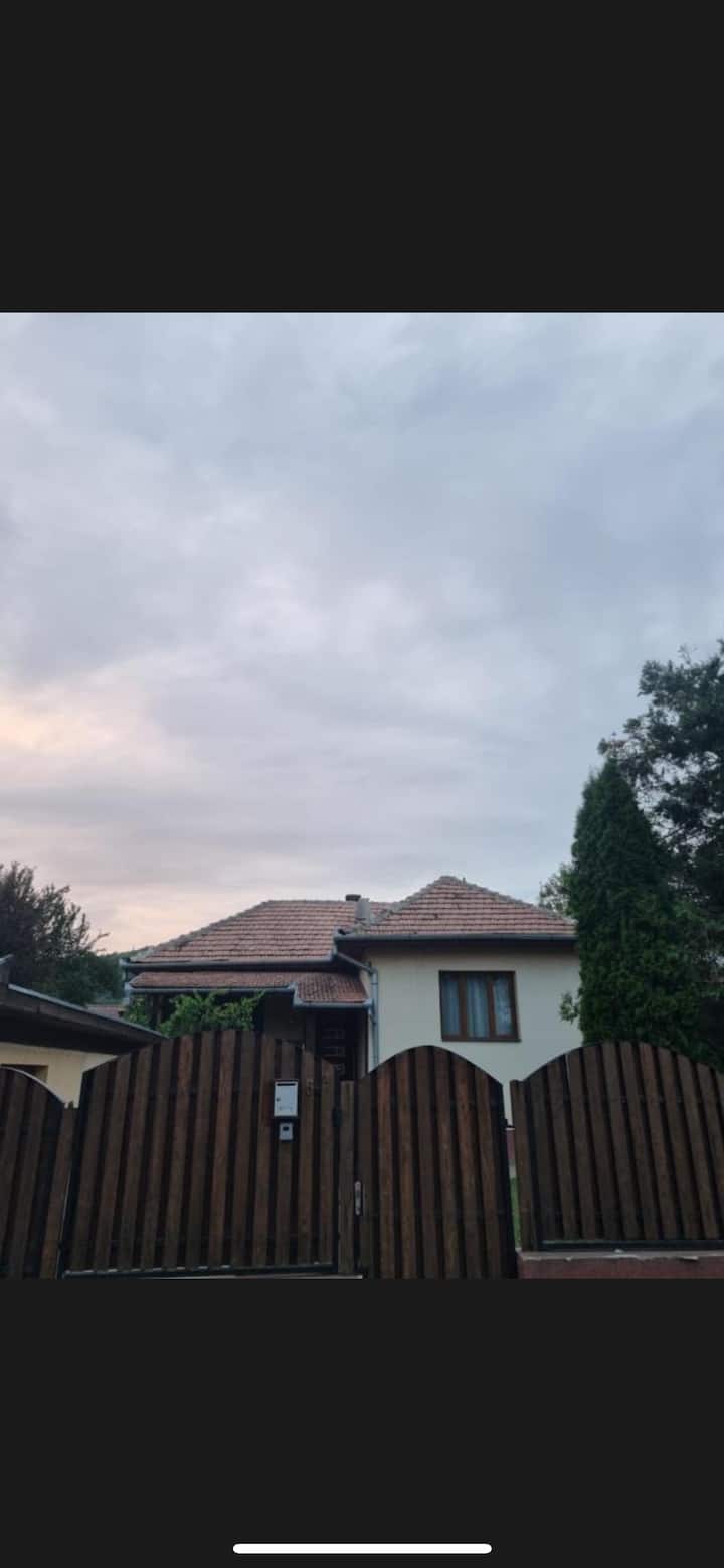 Casa Andreea - Biertan