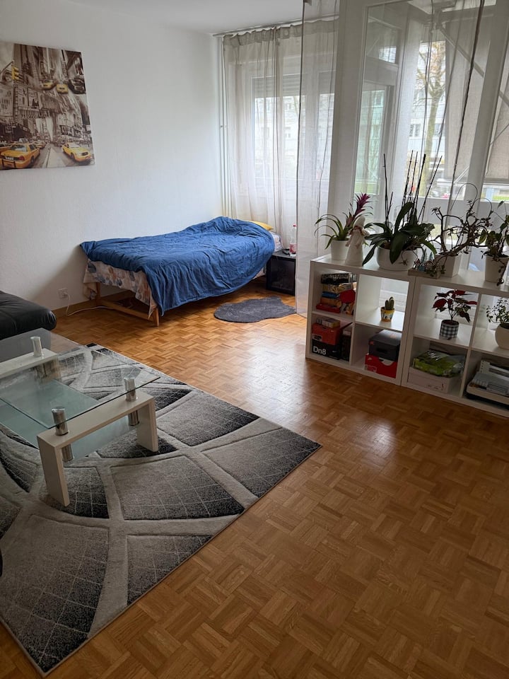 Nice Apartment In Geneva! - Ferney-Voltaire