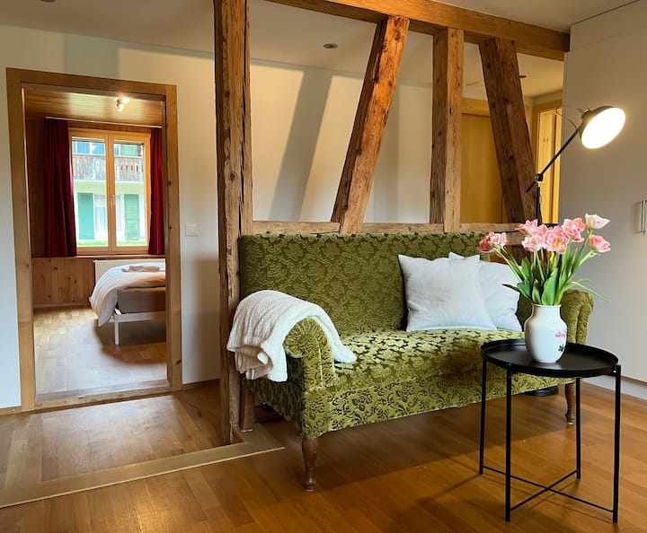 Sonnige Frühlings-auszeit & Homeoffice Lenk - Lenk