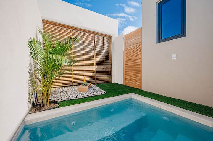 Luxury Plunge Pool • 6 Min Walk To Palm Beach - Aruba