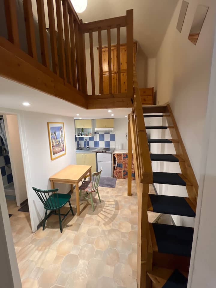 A 2 Pas Du Lac Centre Annecy, Duplex Place Idéal ! - Annecy