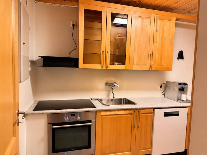Private 1 Bedroom Flat - Stavanger