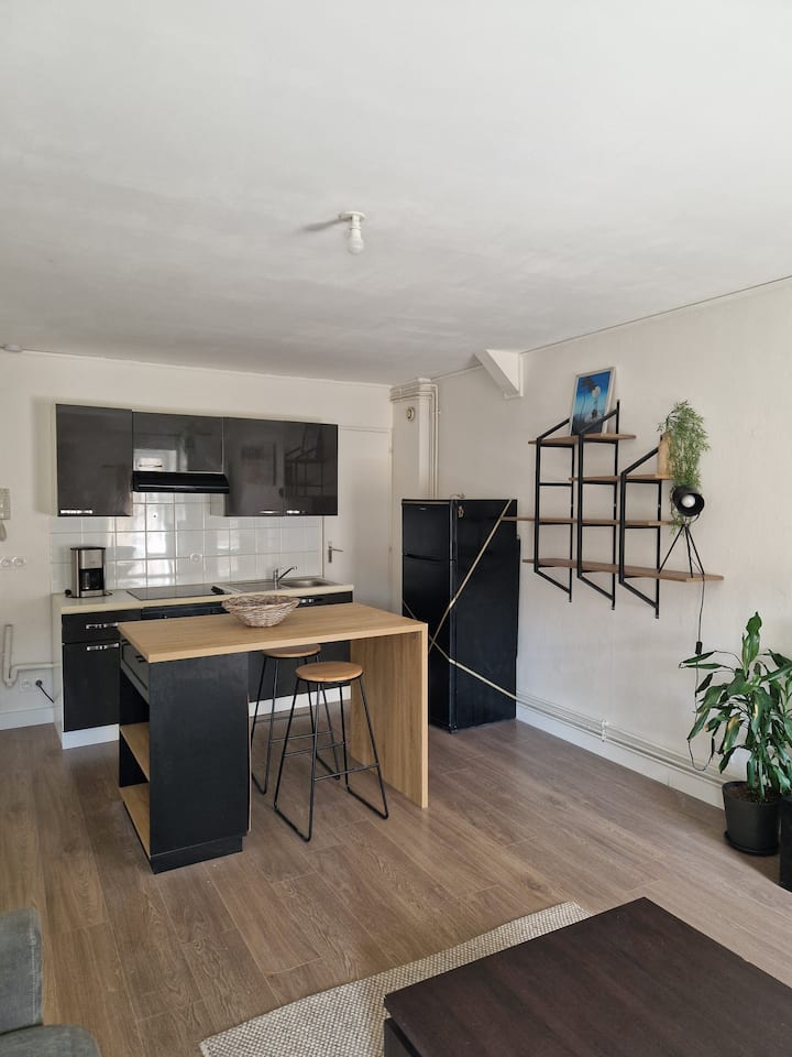 Charmant Appartement Au Bord Du Rhône - Givors