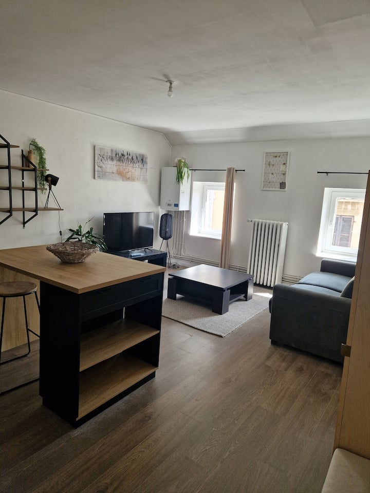 Charmant Appartement Au Bord Du Rhône - Ampuis