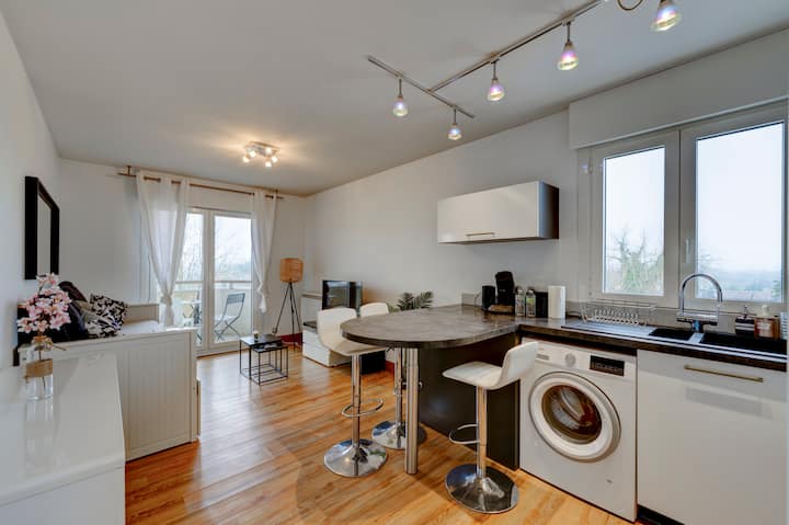 Embnb A202.3 | Magnifique T2 Proche De Genève - Annemasse