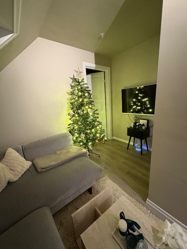 Fin Leilighet Sentralt I Bergen - Bergen