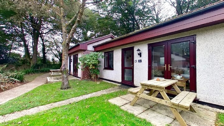 Little Betty - Hayle