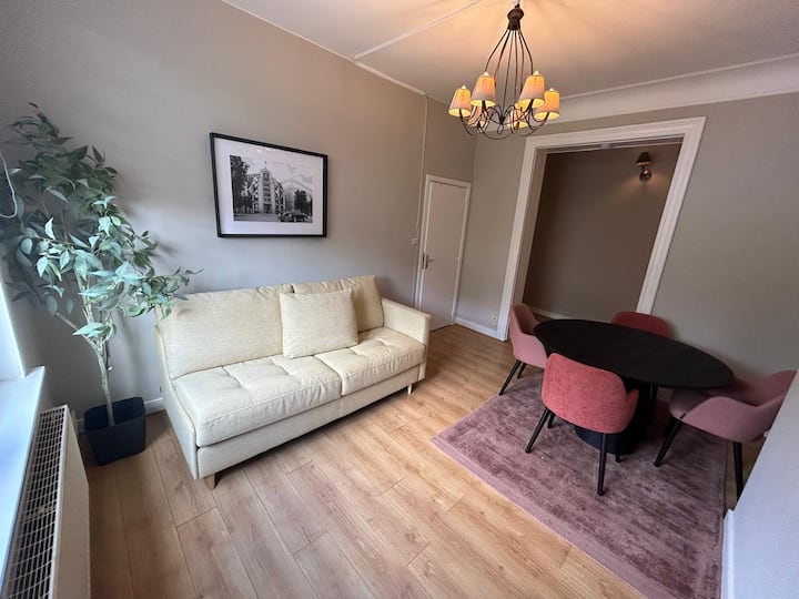 Joli Appartement 1 Chambre Avec Canapé Lit - Etterbeek