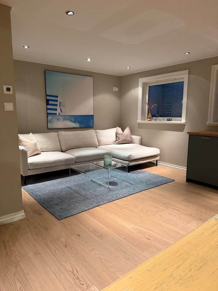 Fin Og Ny Sokkelleilighet I Rolig Område - オスロ