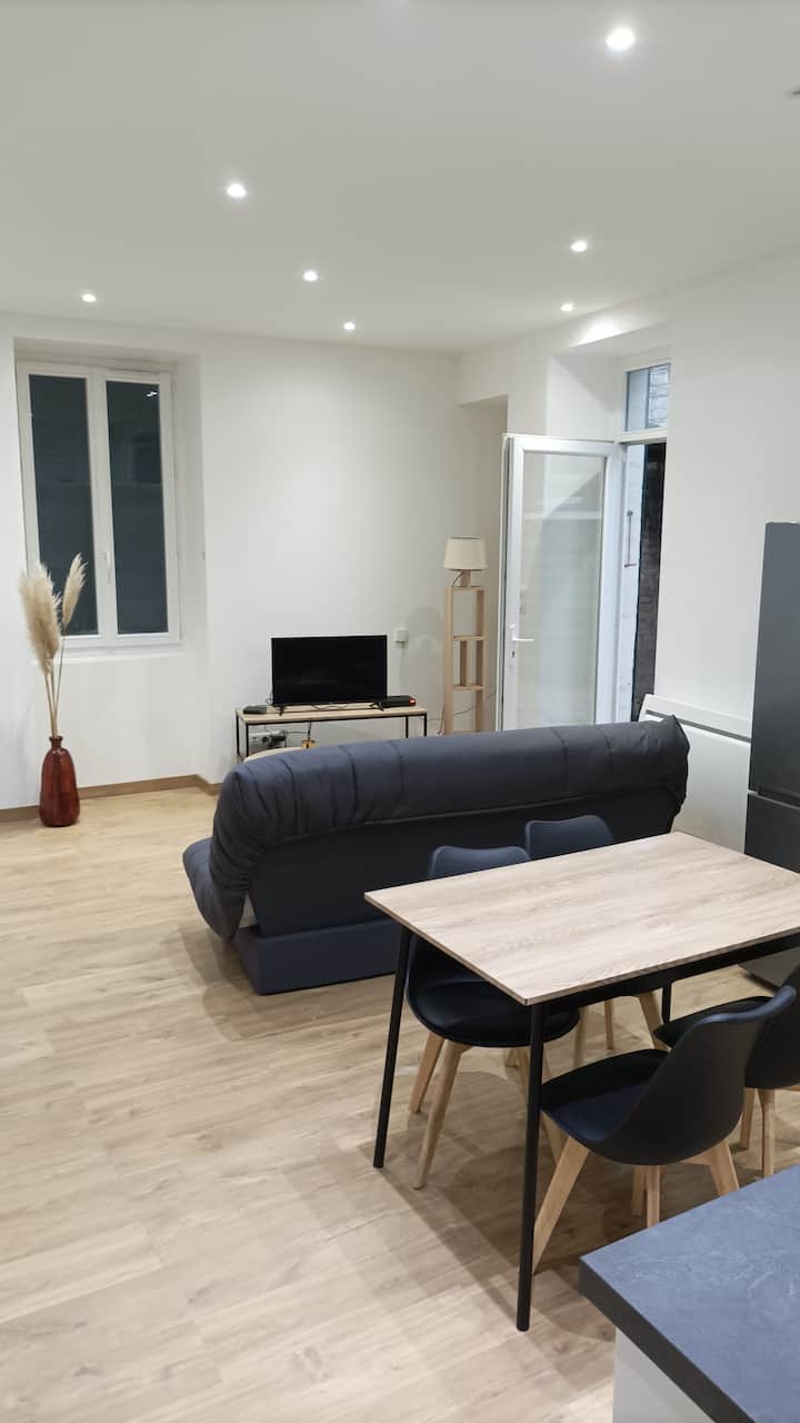 Grand Duplex Confortable En Plein Centre - Moirans