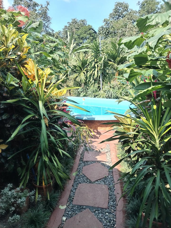 Vistas #1 - La Fortuna