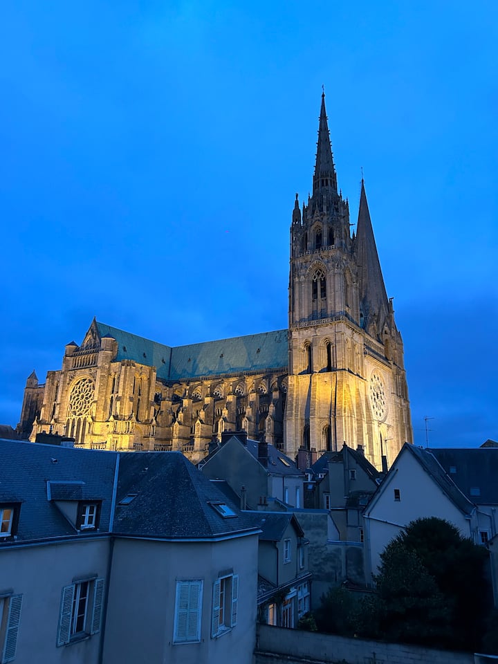 L’écrin De La Cathédrale - Chartres
