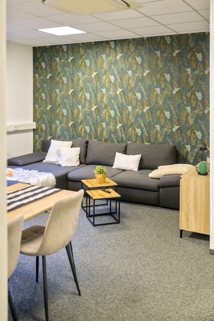 Schwabentor-apartment - Freiburg im Breisgau