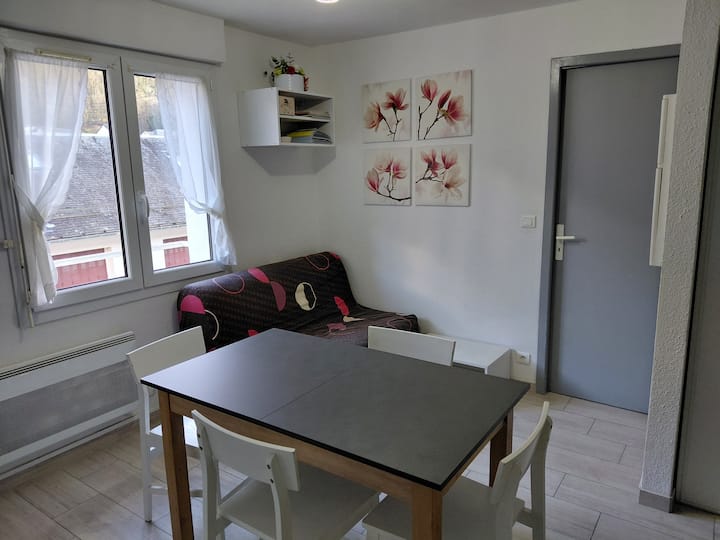 Appartement T2 4 Pers Proche Télécabine Et Centre - Cauterets