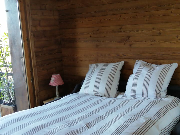 Charmant Studio De Montagne - Bonneville