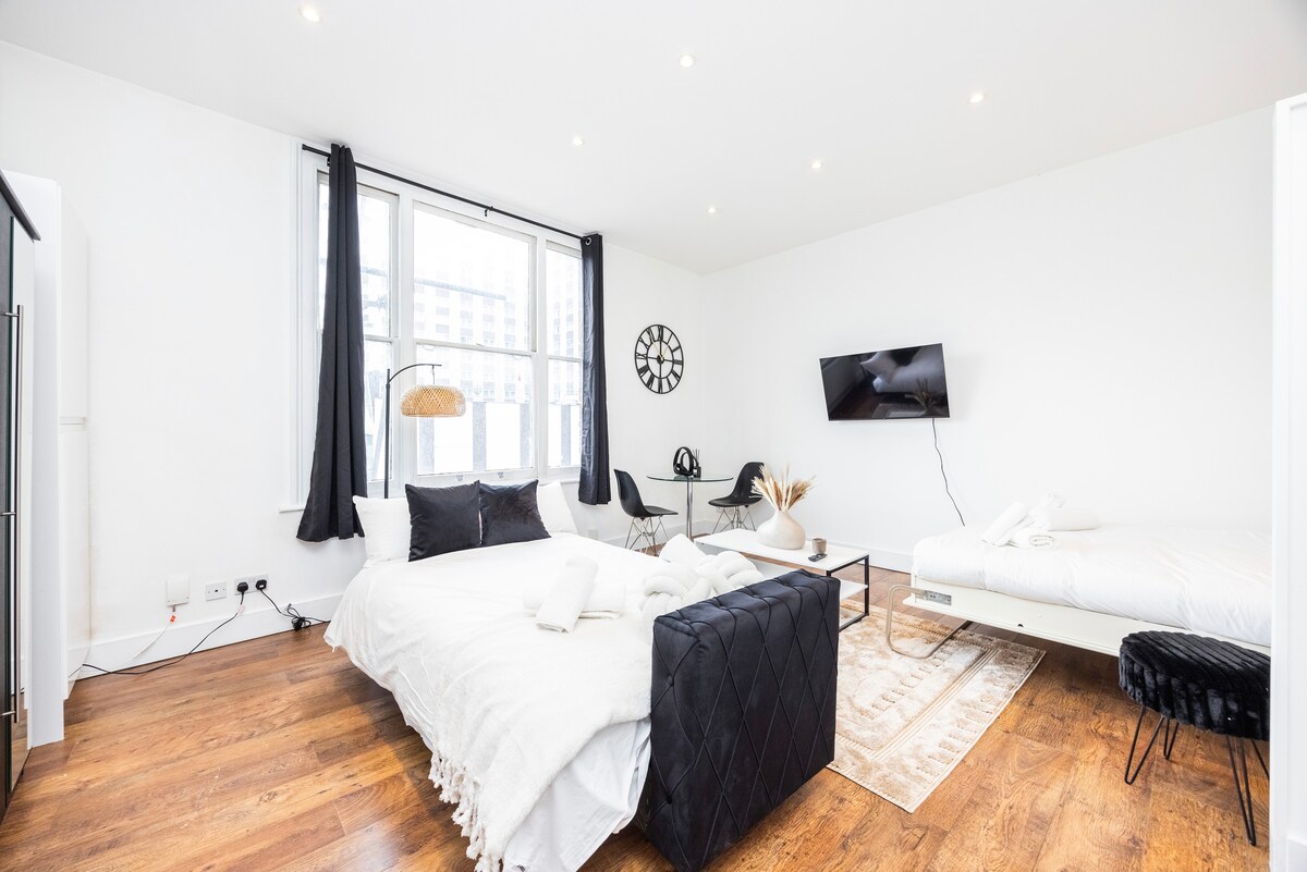Large Studio Apartment in Chelsea - Sleeps 3 - Apartments for Rent in ...