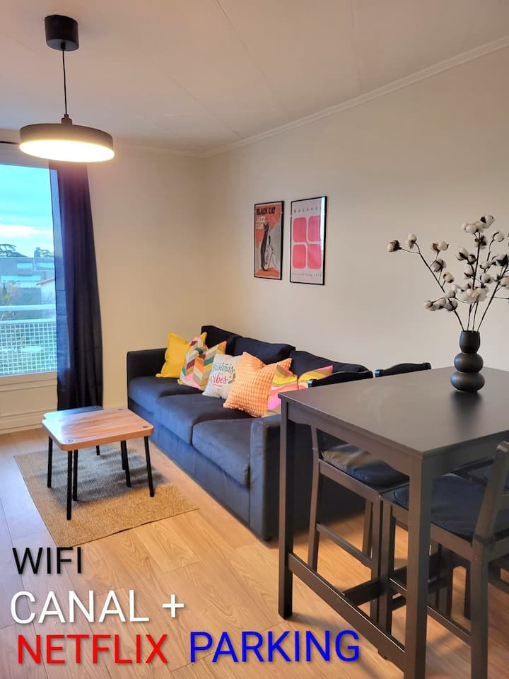 Joli T3 Proche De Lyon Netflix Et Canal+ Inclus - Caluire-et-Cuire