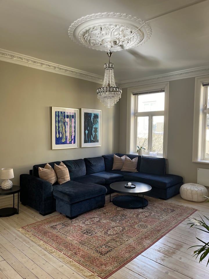 Leilighet I Oslo Sentrum - Oslo