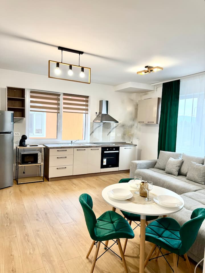 Apartament Cu 1 Dormitor Si Balcon- Self Check-in - Bistrița