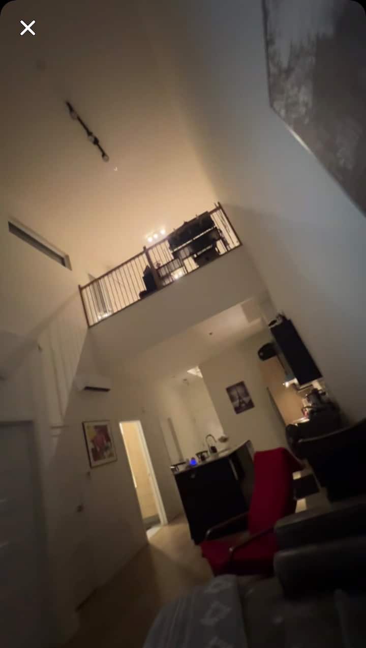 Luxury 2bedroom+den, 2-floor Loft Penthouse Condo. - Ottawa
